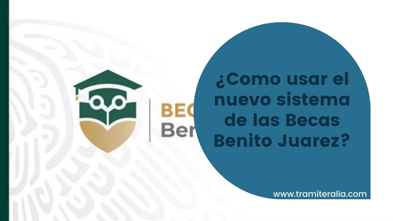 ¿CÓMO USAR el NUEVO SISTEMA de las BECAS Benito Juárez?