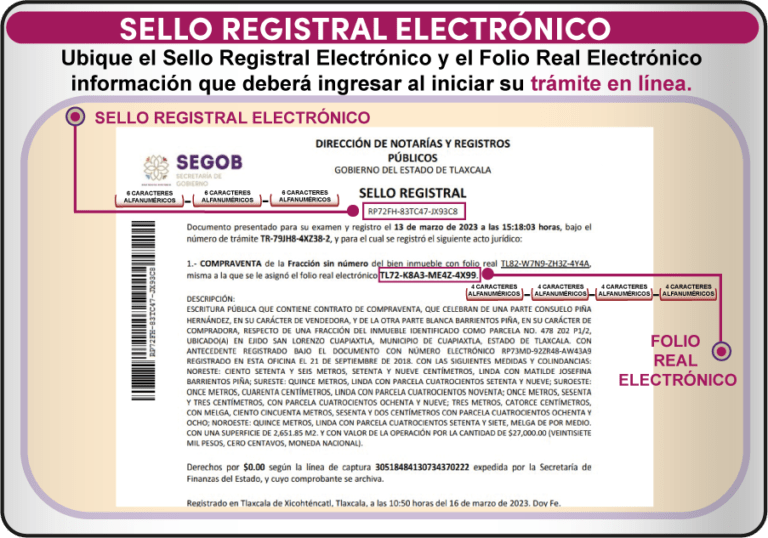 CONSTANCIA DE FOLIO REAL: DESCUBRE CÓMO OBTENERLA