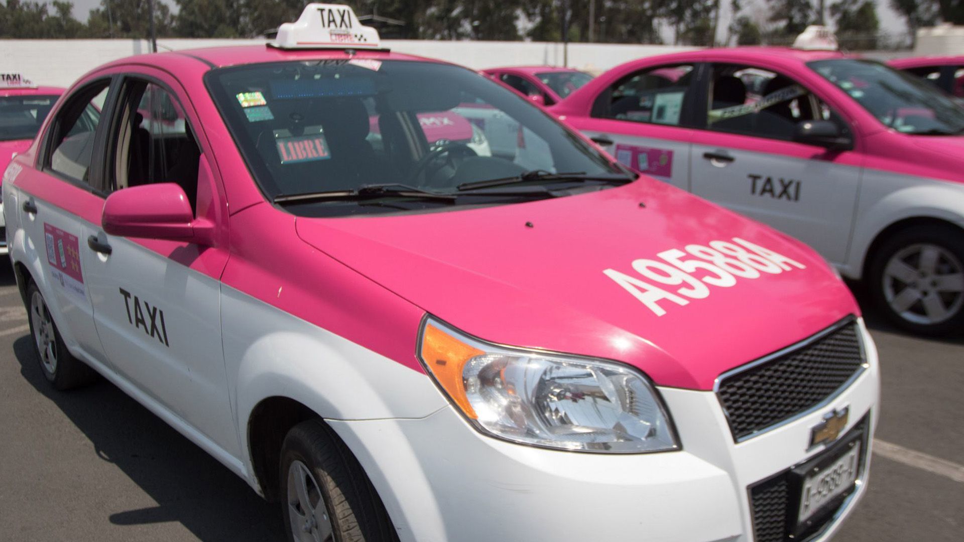 COSTO PLACAS TAXI CDMX - Descubre lo que Necesitas