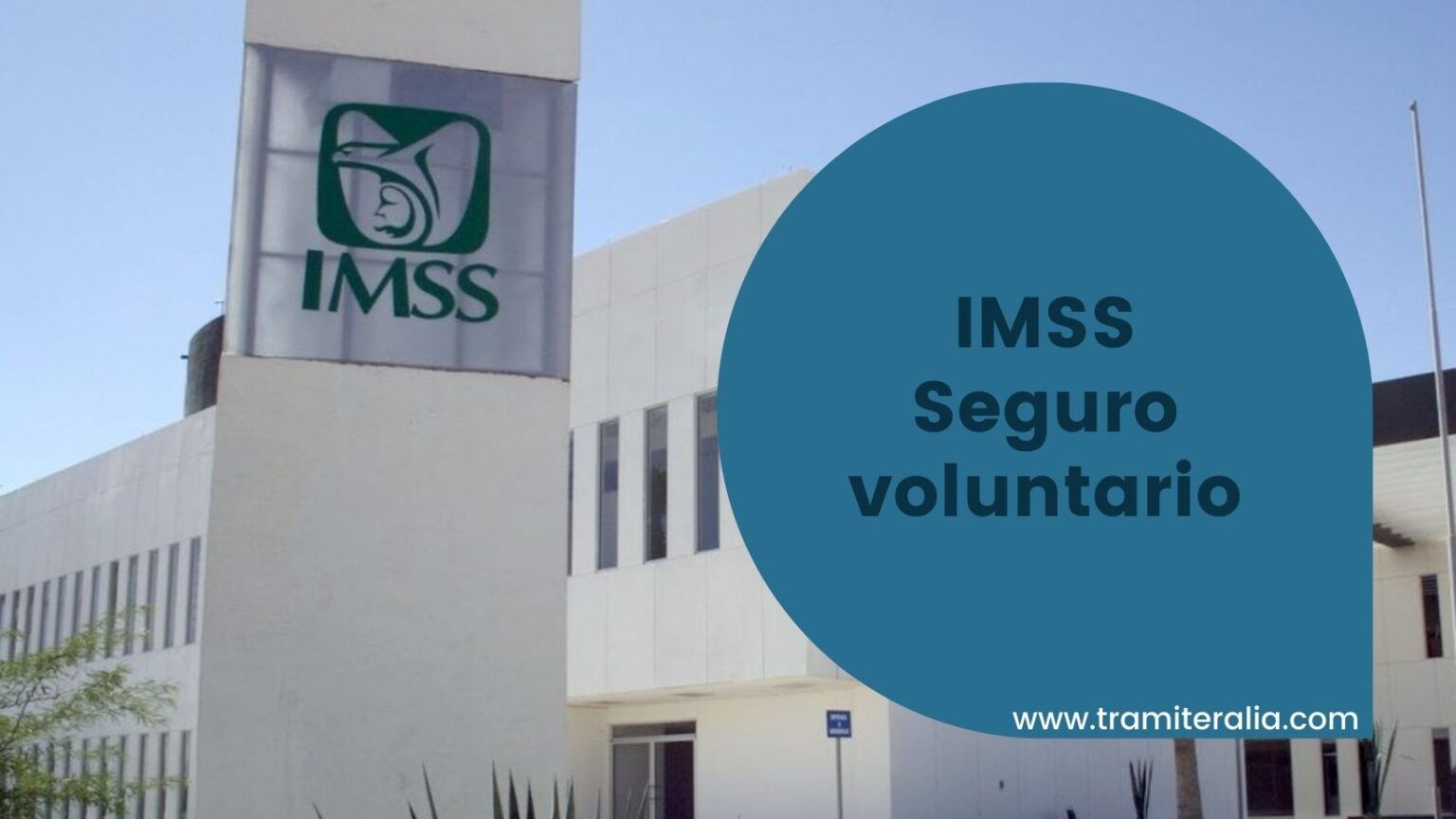 IMSS - SEGURO VOLUNTARIO: BENEFICIOS que NO conocías